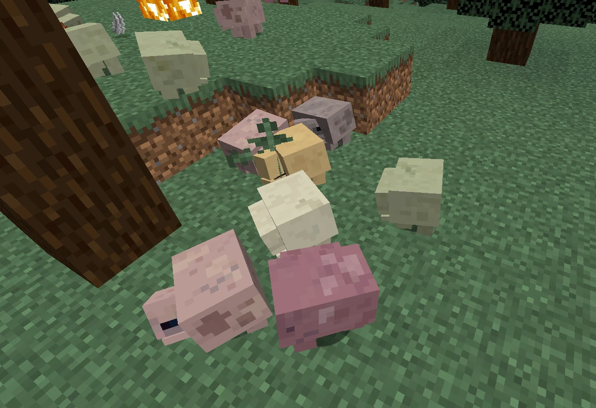 Glunch | TGX Wiki | Fandom