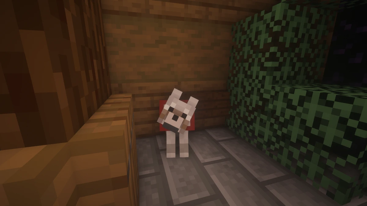 Donson | TGX Wiki | Fandom