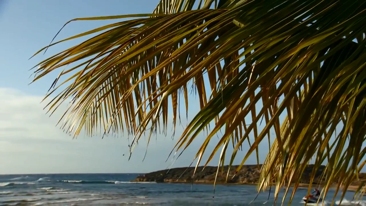 Oxygen/Gallery | Teen Beach Movie Wiki | Fandom