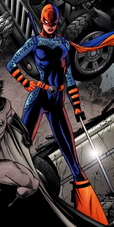 Rose Wilson | Teen Titans Wiki | Fandom