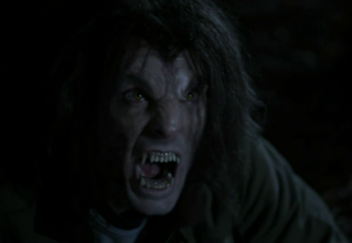 Omega Werewolf | TeenWolf Next Generation Wikia | Fandom