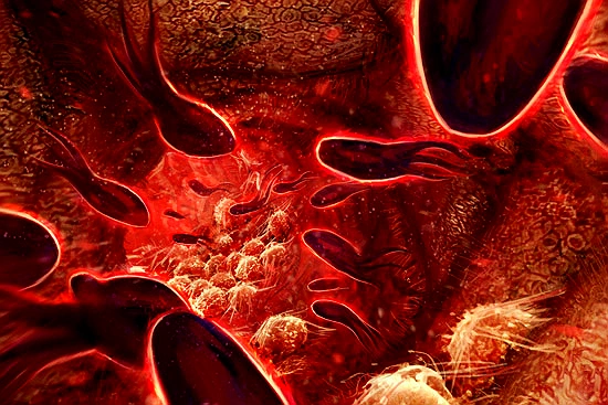 Voidborn | TeenWolf Next Generation Wikia | Fandom