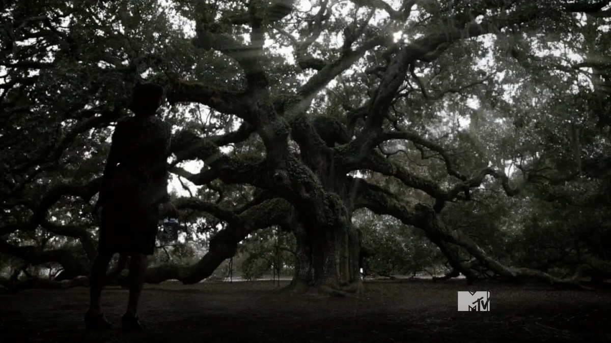 Nemeton | TeenWolf Next Generation Wikia | Fandom