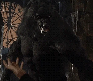 Werewolf Transformation New Moon
