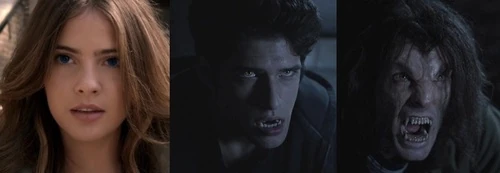 Omega Werewolf | TeenWolf Next Generation Wikia | Fandom