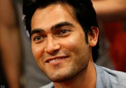 Tyler Hoechlin | Teen Wolf Wiki | Fandom