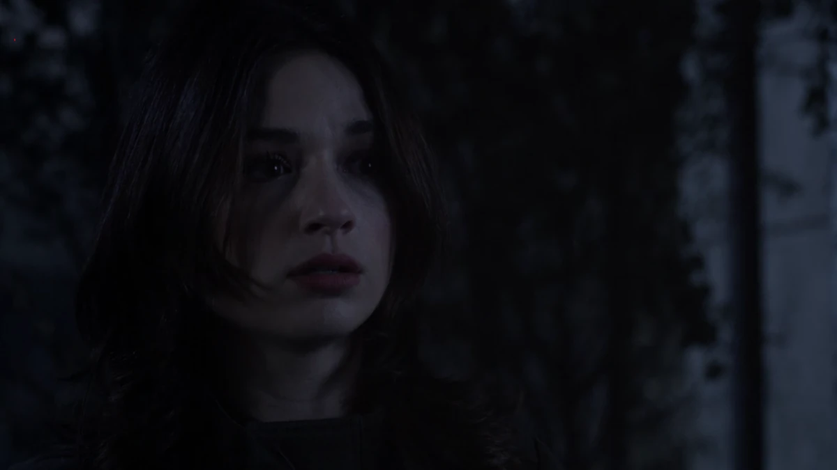 Allison Argent | Teen Wolf Wiki | Fandom