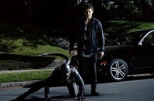 Matt Daehler | Wiki Teen Wolf | Fandom