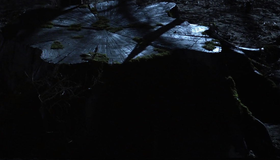 Nemeton | Wiki Teen Wolf | Fandom