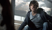Werewolf | Teen Wolf Wiki | Fandom