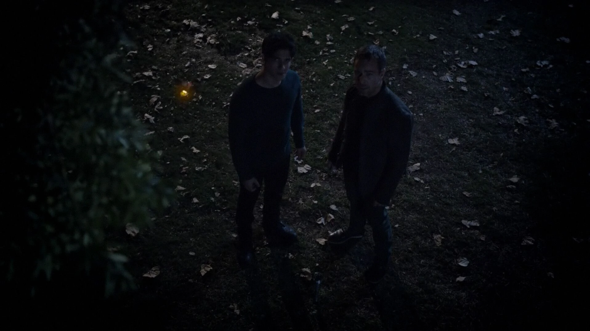 Fireflies | Teen Wolf Wiki | Fandom