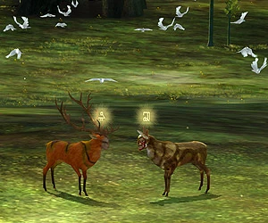 Endless Forest Wiki | Fandom