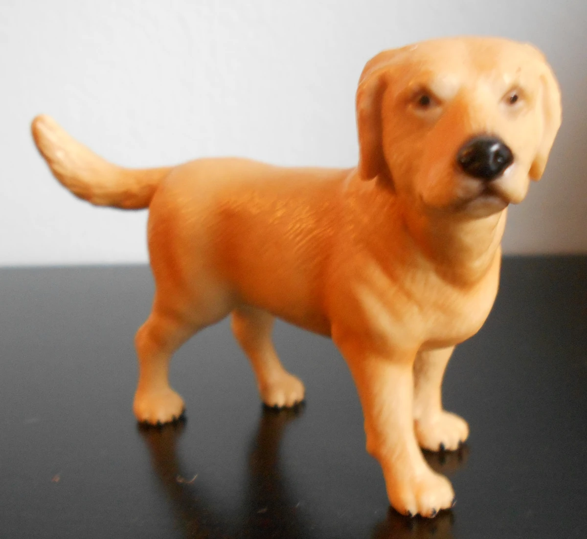 Bella (Dog) | Tekrimcollection Wiki | Fandom