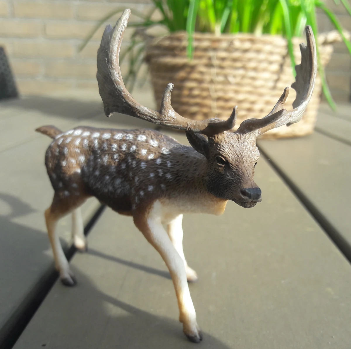 Fallow deer | Tekrimcollection Wiki | Fandom