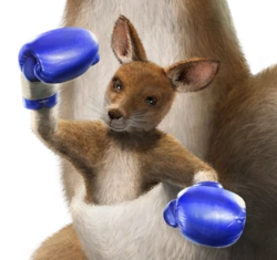 Roger.Jr | Tekken encyclopedia Wikia | Fandom