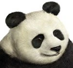 Tekken 5 | Tekken Wiki | Fandom