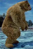 Kuma II/Outfits | Tekken Wiki | Fandom