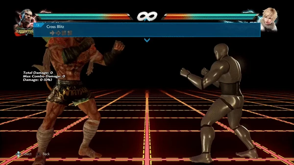 Cross Blitz | Tekken Wiki | Fandom