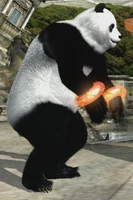 Panda/Outfits | Tekken Wiki | Fandom