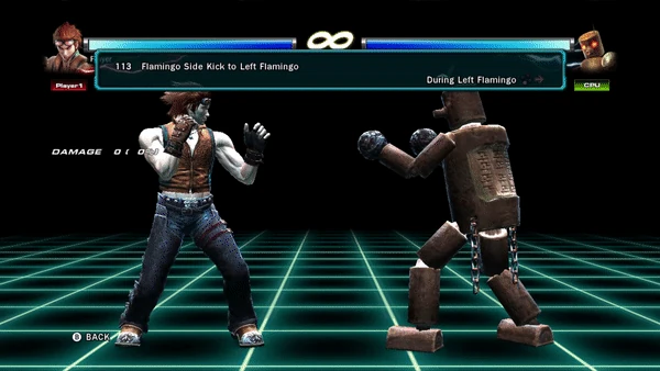 Flamingo Side Kick to Left Flamingo | Tekken Wiki | Fandom