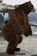 Kuma II/Outfits | Tekken Wiki | Fandom