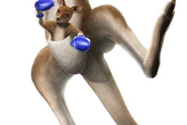 tekken 3 kangaroo