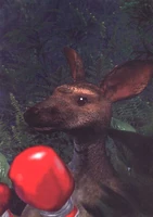 Roger/Gallery | Tekken Wiki | Fandom