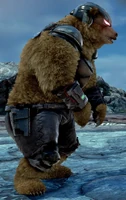 Kuma II/Outfits | Tekken Wiki | Fandom