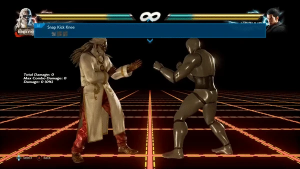 Snap Kick Knee | Tekken Wiki | Fandom