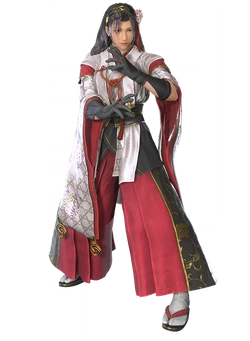 tekken jun customization