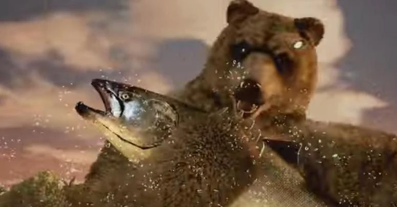 Kuma | Tekken Wiki | Fandom