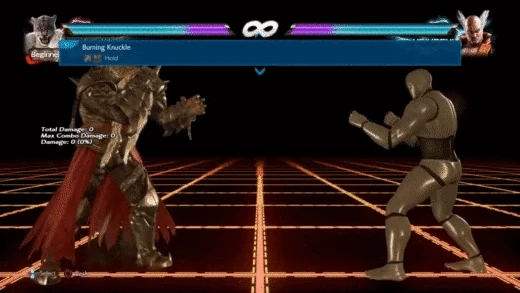 Burning Knuckle | Tekken Wiki | Fandom