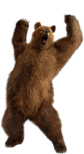 Kuma | Tekken Inicio Wiki | Fandom