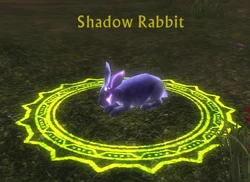 Shadow Rabbit - Rift Wiki