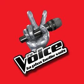 The Voice, la plus belle voix | Wiki Télé Réalité | Fandom