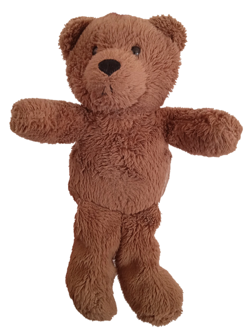 Oso Teddy | Wiki Telelodeon | Fandom