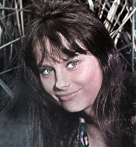Irene Stefânia | Telenovela Database Wikia | Fandom
