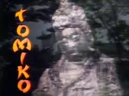 Tomiko | Wiki Telenovelas | Fandom