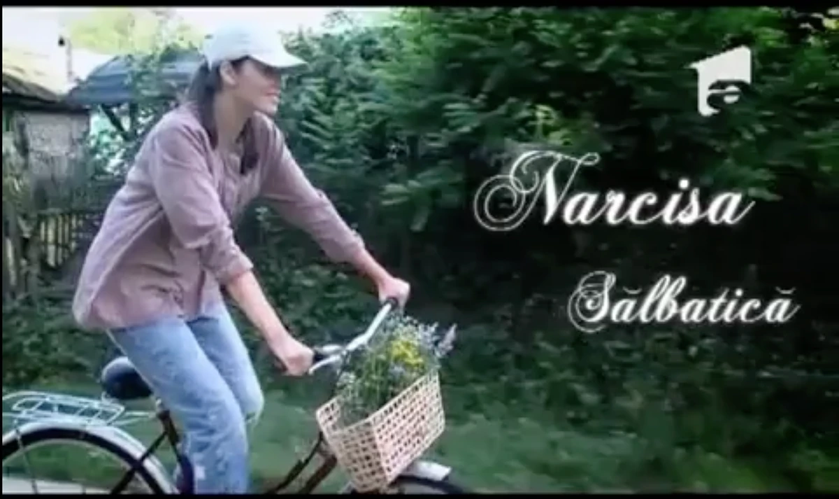 Narcisa sălbatică | Wiki Telenovelas | Fandom