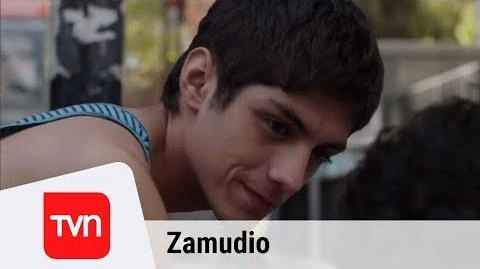 Zamudio | Wikia Teleseries Chilenas | Fandom