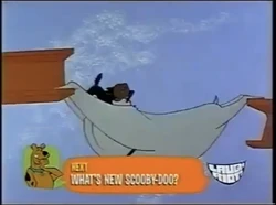 Teletoon "Up Next" Banners | Teletoon Schedule Archives Wiki | Fandom