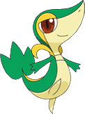 Snivy | Teletoons street Wiki | Fandom
