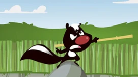 Skunk Fu | Teletoon Wiki | Fandom