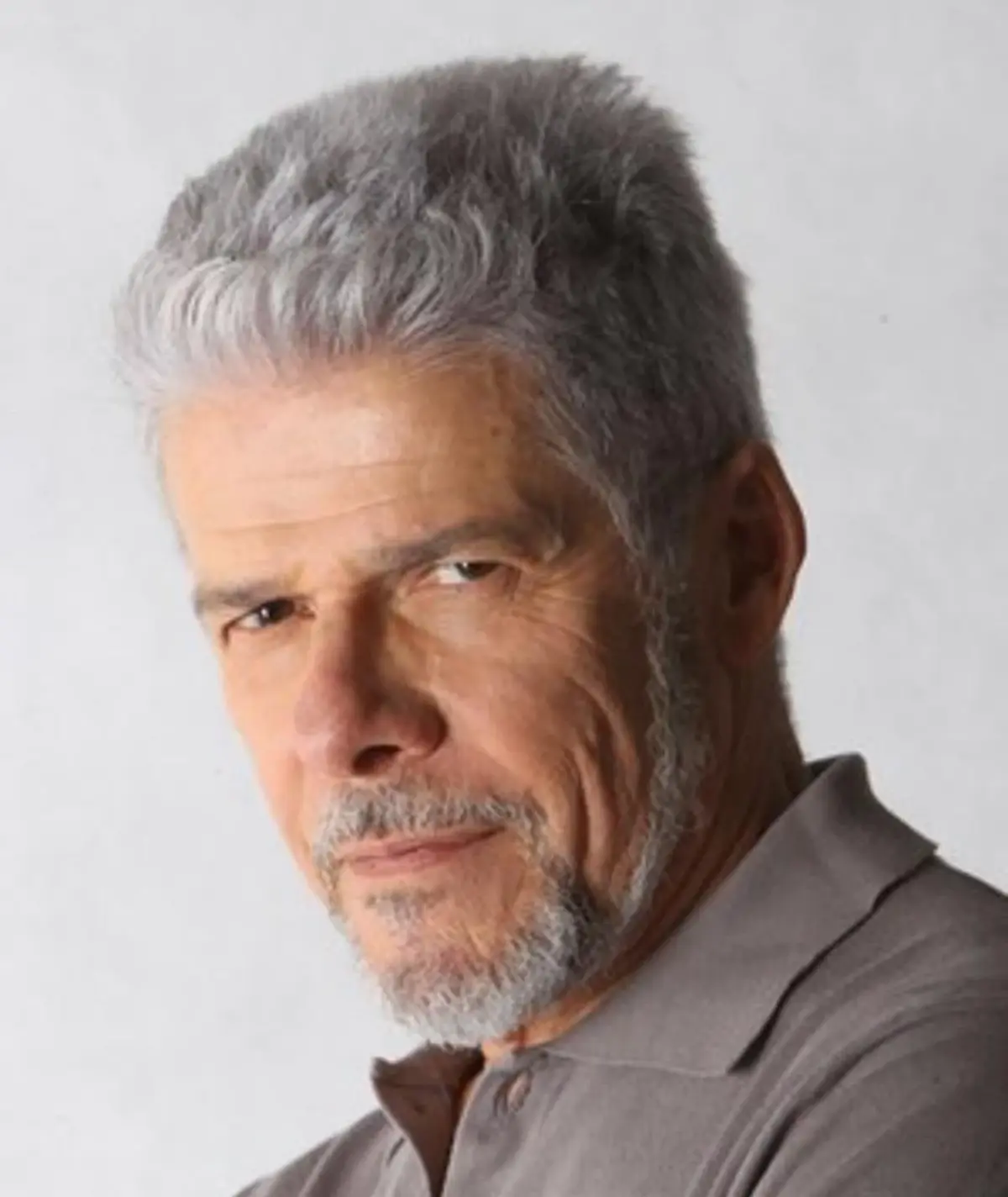 José Mayer | Televisão Brasileira Wiki | Fandom