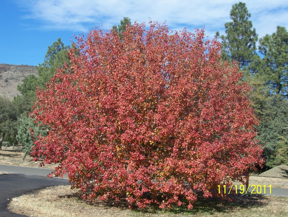 Category:Videos | Television channels Wiki | Fandom