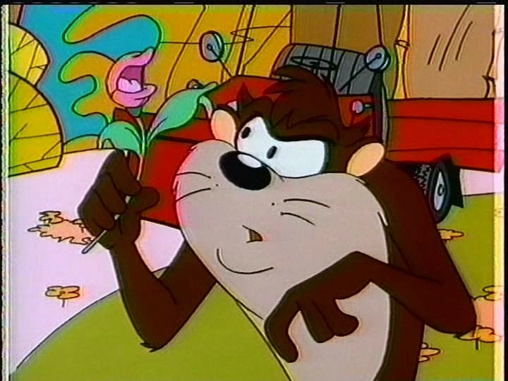 Taz | Kids Shows Wiki | Fandom