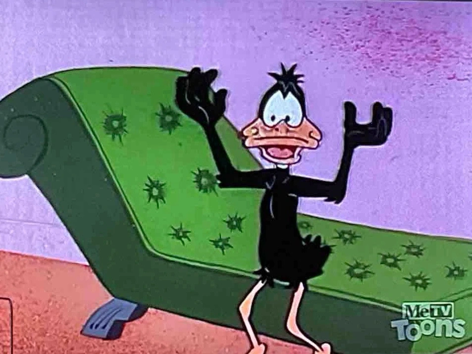 Daffy Duck | Kids Shows Wiki | Fandom