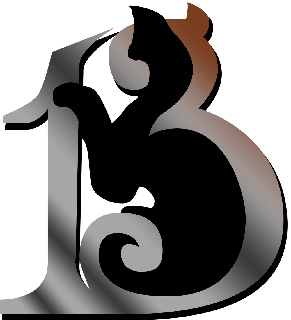 13 канал | Энциклопедия телеистории вики | Fandom