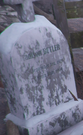 Madison Butler | Tell Me Why Wiki | Fandom