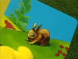 Teletubbies Laa Laa Boek